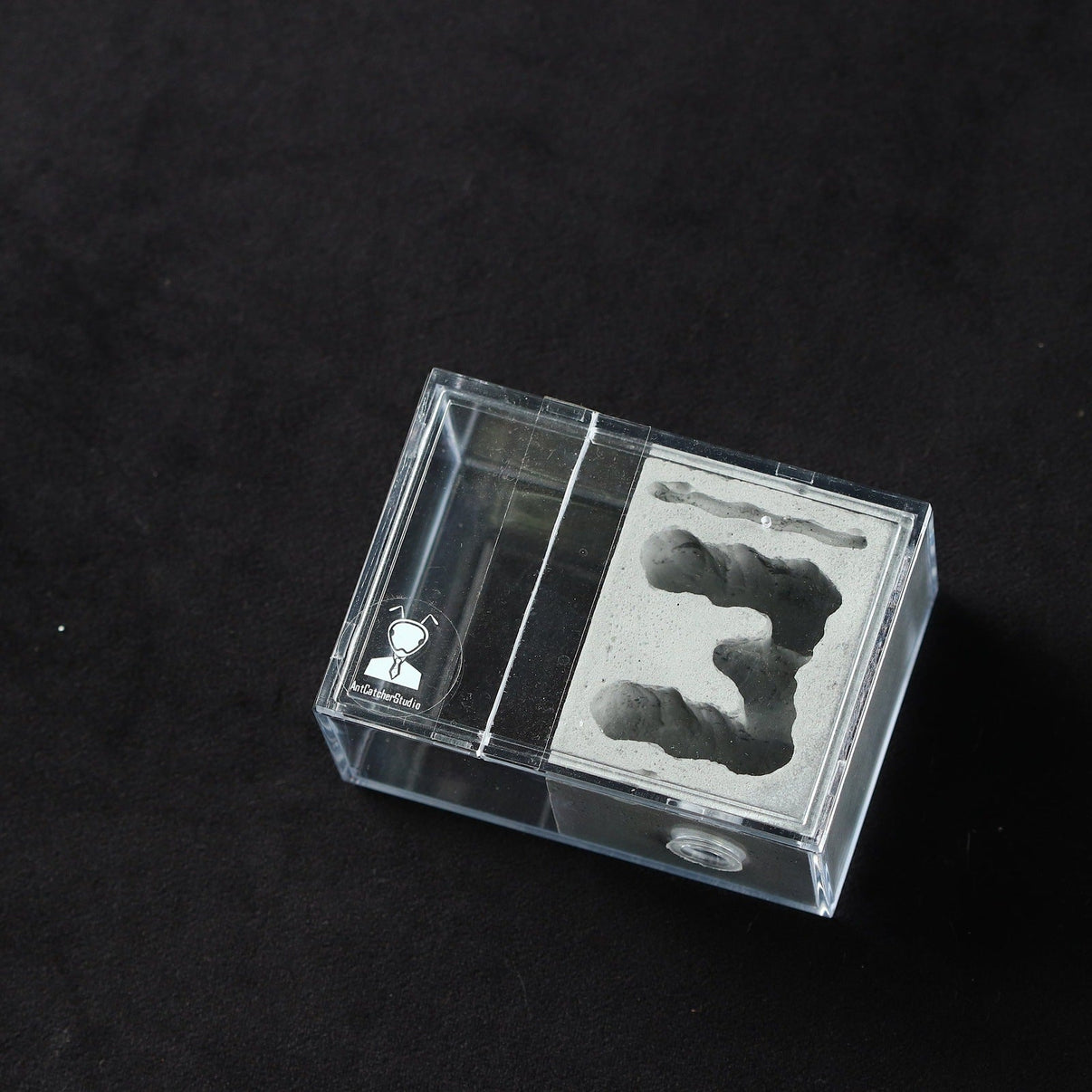 AntCatcherStudio Founding Queen Nest – Canada Ant Colony