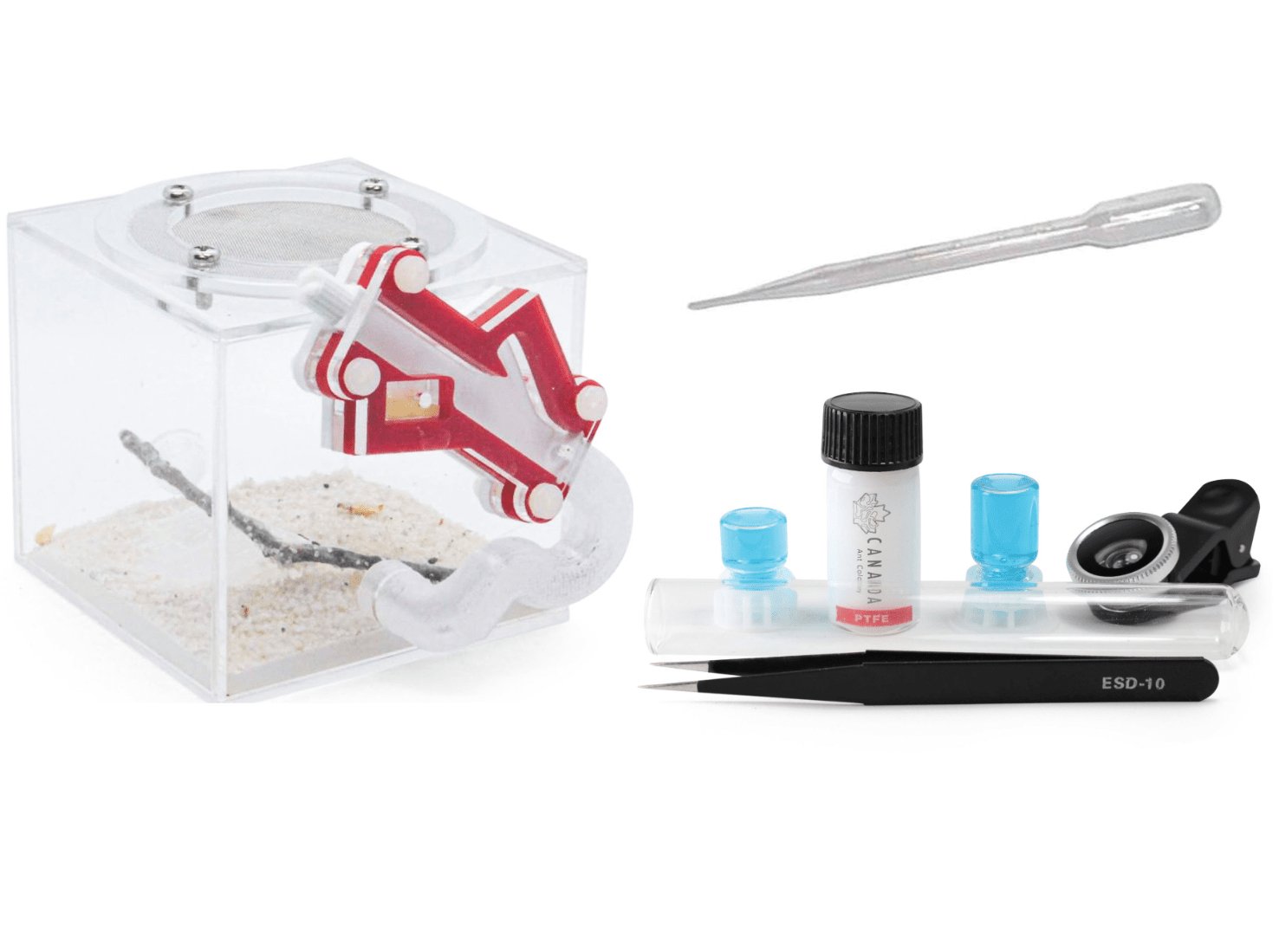Buckeye Myrmecology Small Stick Nest Starter Kit – Canada Ant Colony
