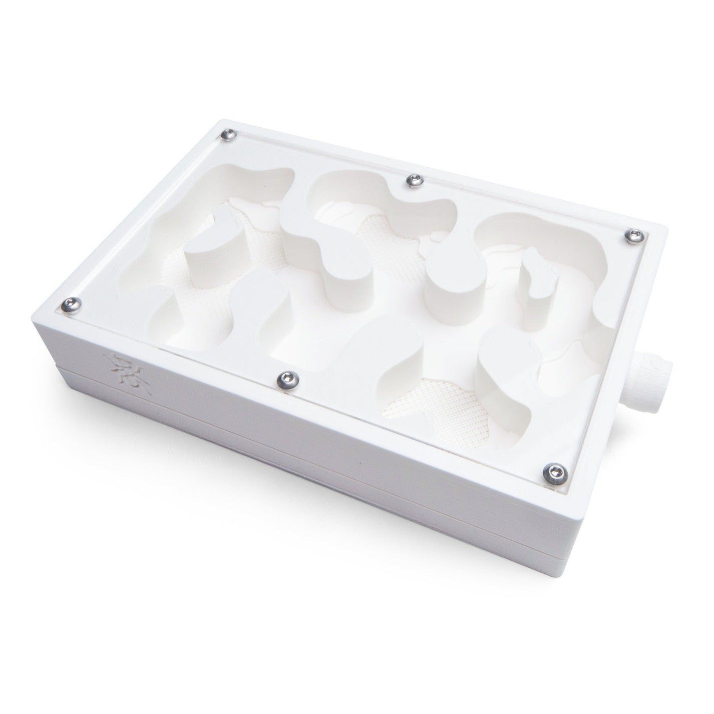 Esthetic Ants: Large Mesh Nest – Canada Ant Colony