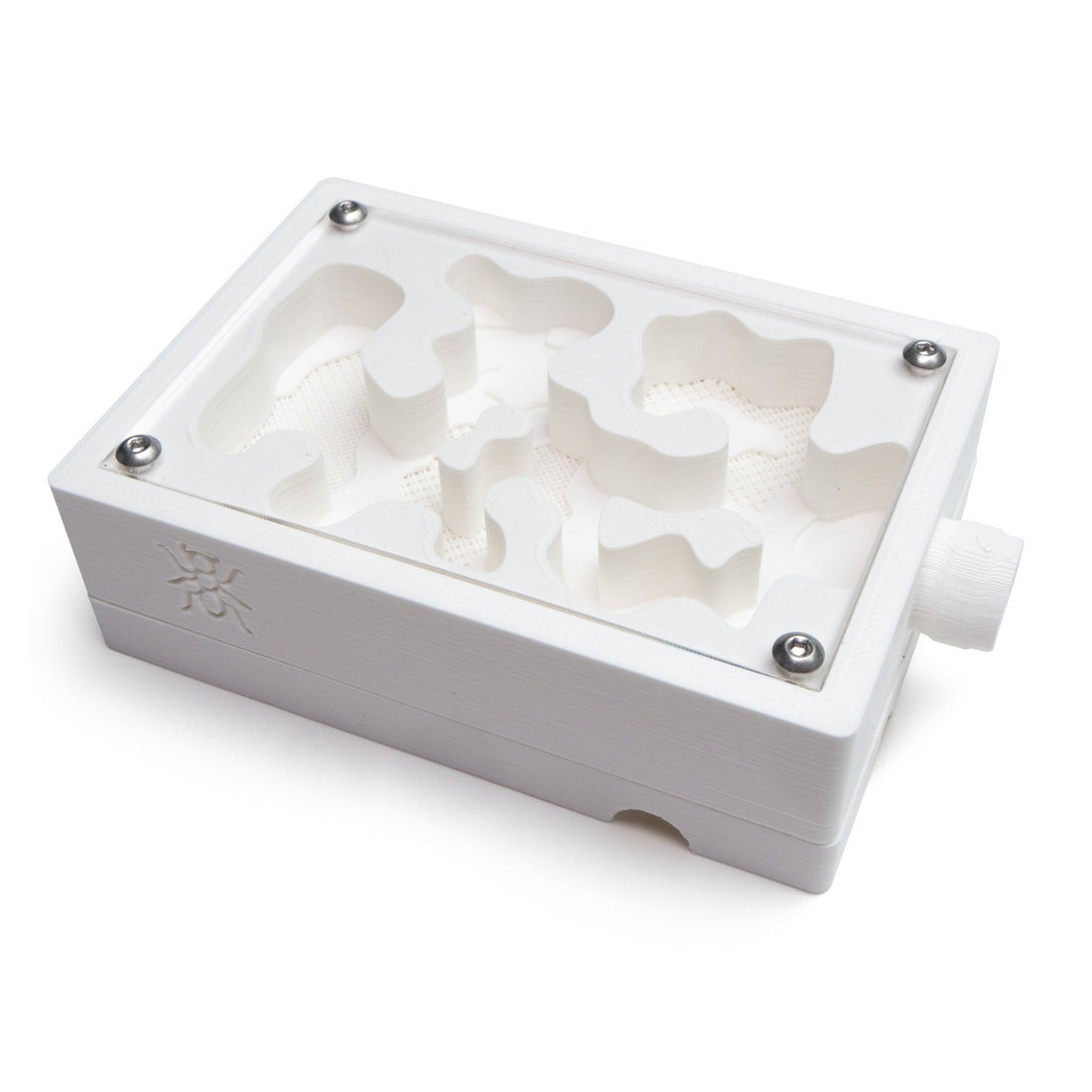 Esthetic Ants: Medium Mesh Nest – Canada Ant Colony