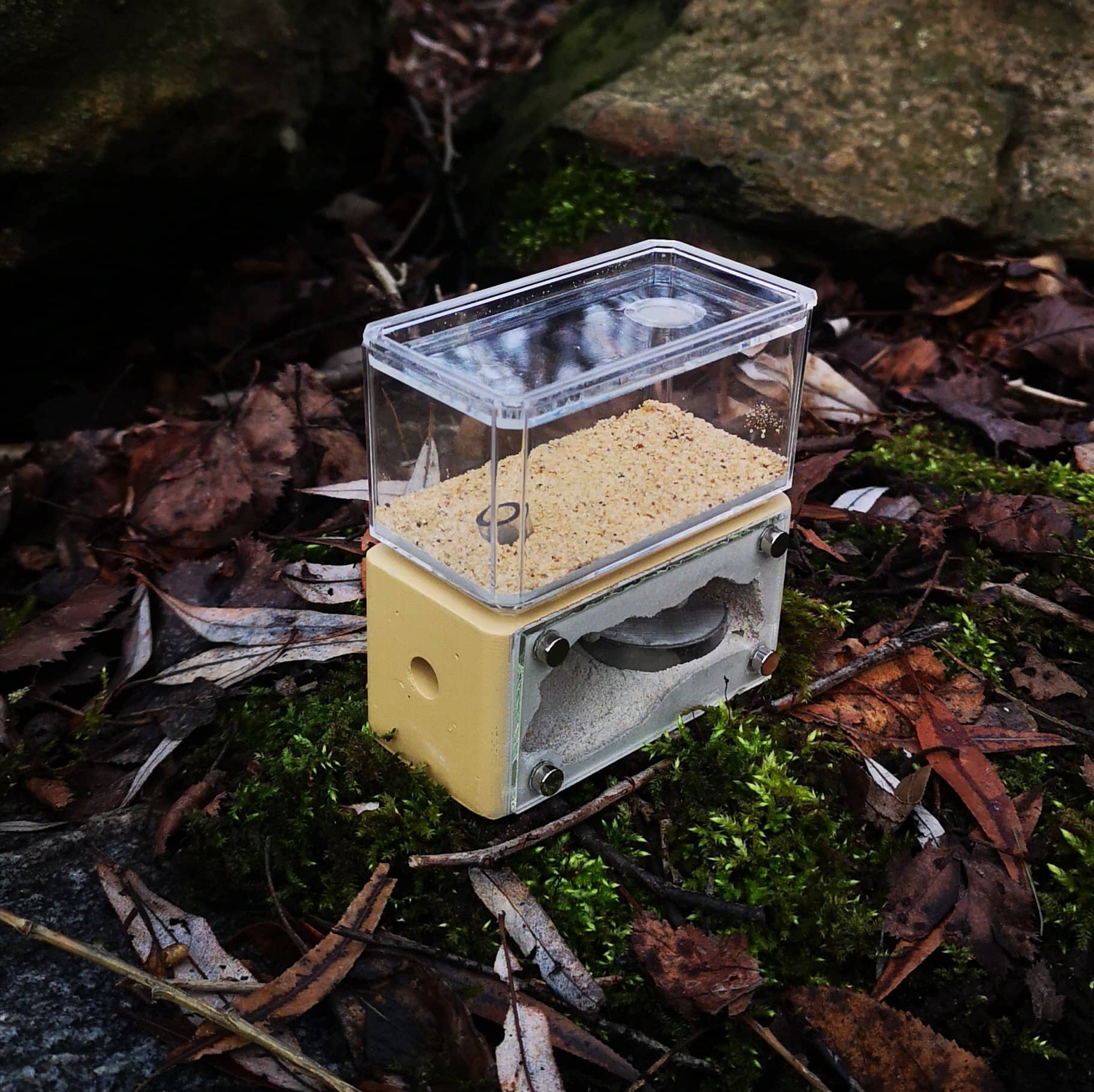 Formicaria – Canada Ant Colony