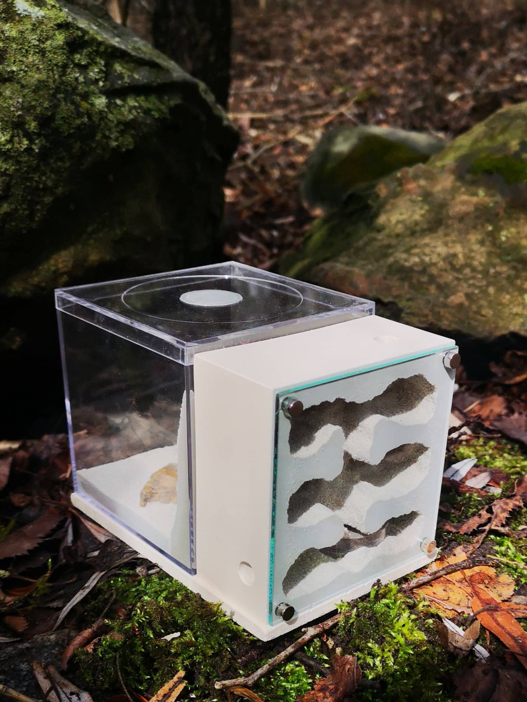 Formicaria – Canada Ant Colony